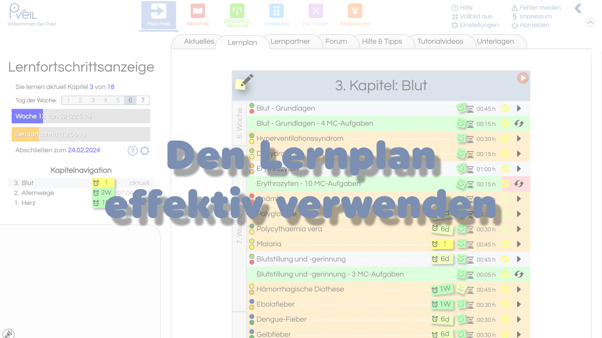 Lernportal Pveil - Videotutorials